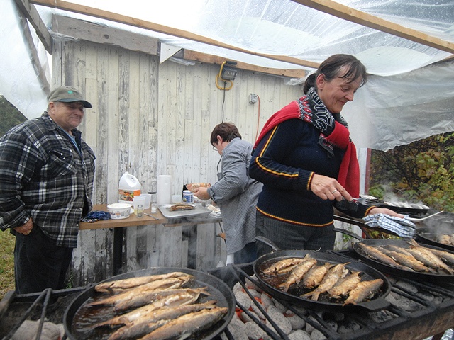 Festival du Pointu de Saint-Juste-du-Lac - Infodimanche